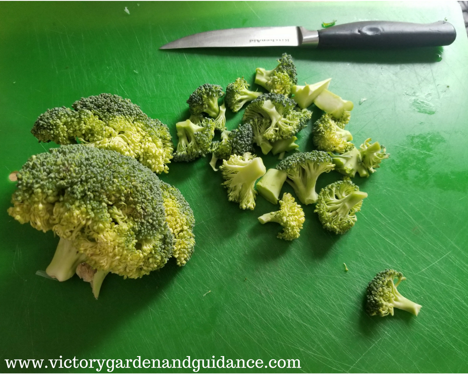 Revamped Broccoli Salad - Make every day a Victory