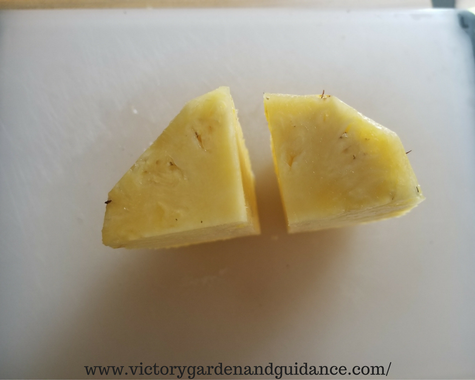 Victory pineapple cranberry apple salad - Make every day a Victory